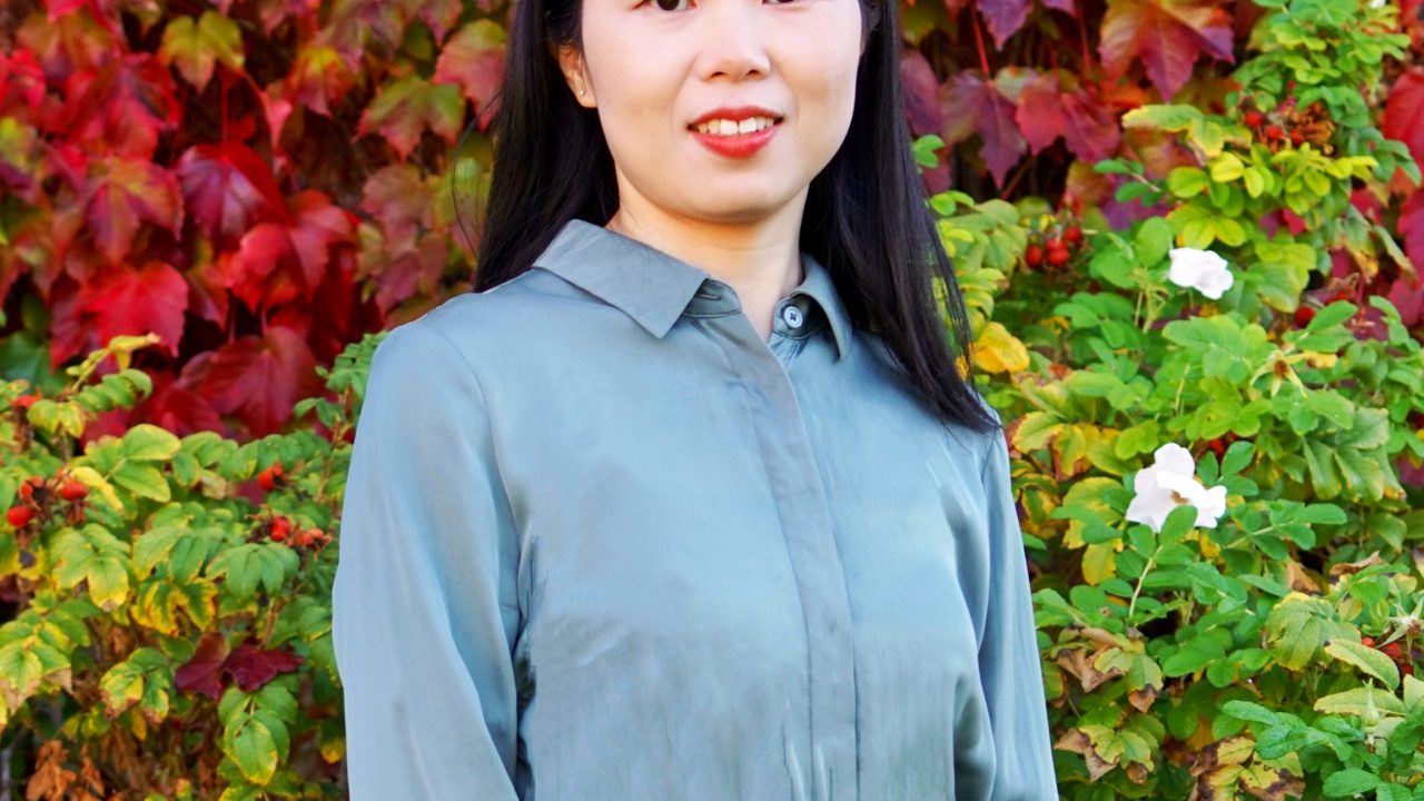 PI and Co-Is | generativedfx